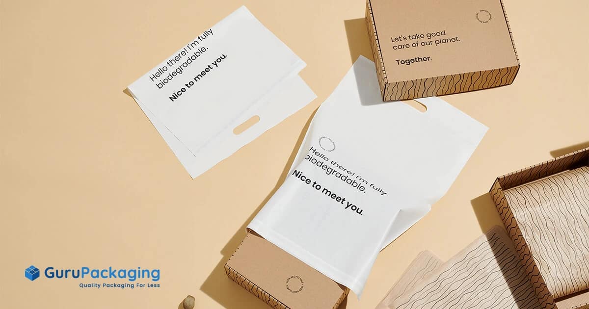 Custom Box Packaging & Branding in Los Angeles